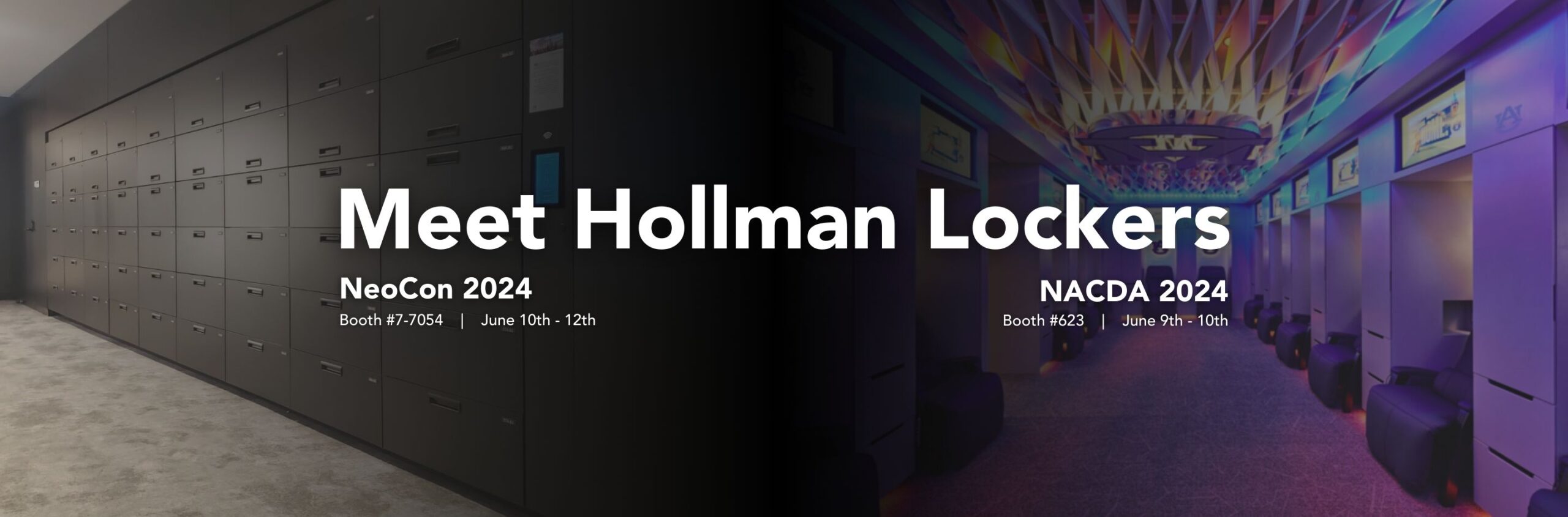 Home Page | Hollman Inc.