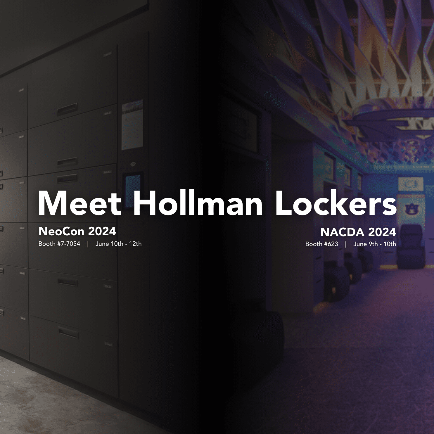 Home Page | Hollman Inc.