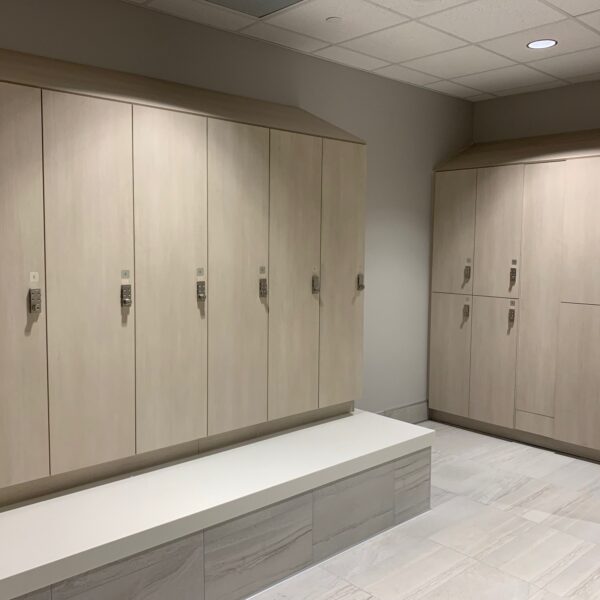 HEALTHCARE - Hollman Inc.